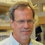 Faculty - Tufts CTSI